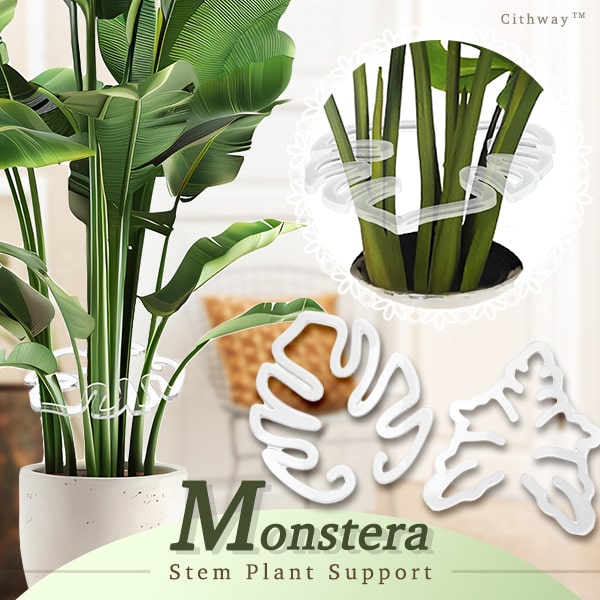 Cithway™ Invisible Plant Pro Stem Support – jammypicky