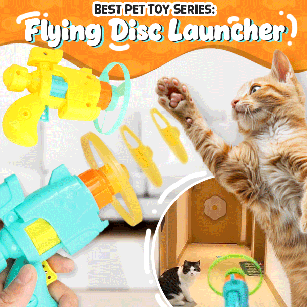 Cithway® Light-Up Flying Propeller Cat Toy – jammypicky